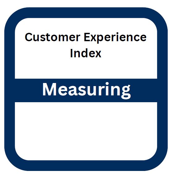 Customer Experience Index - El Paso County Colorado