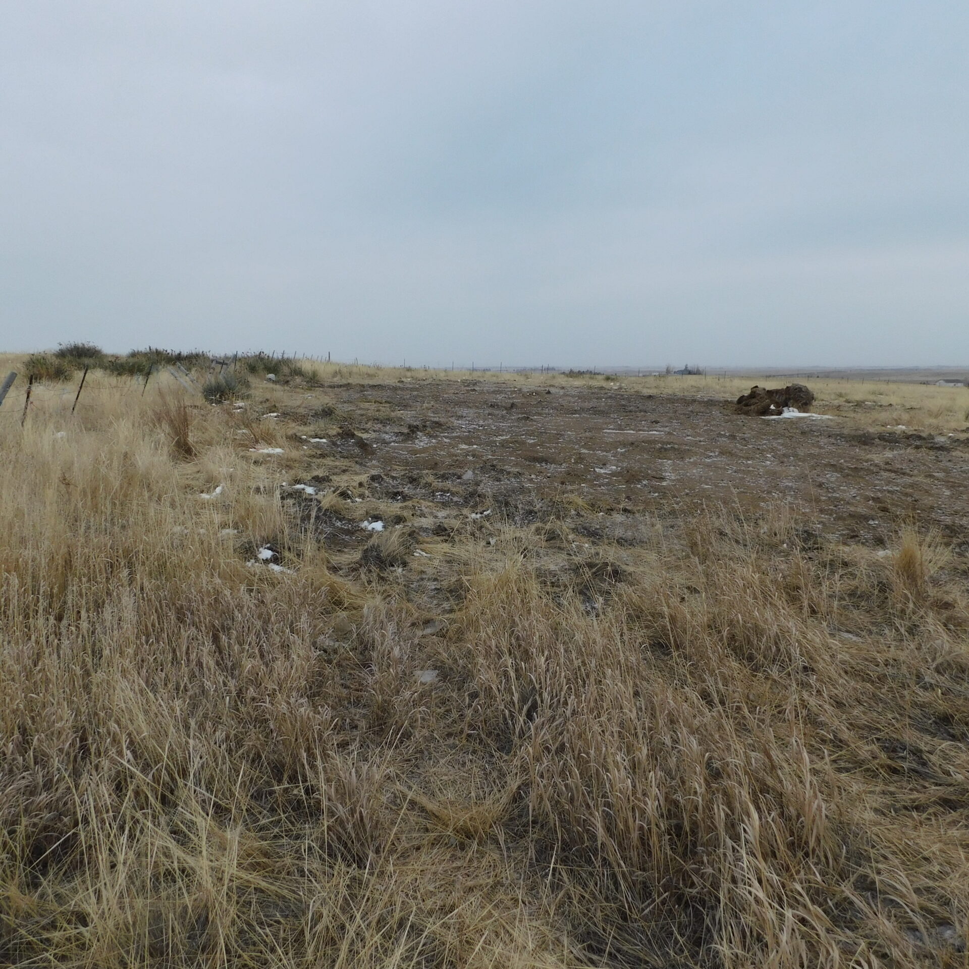 Code Enforcement - El Paso County Planning Development