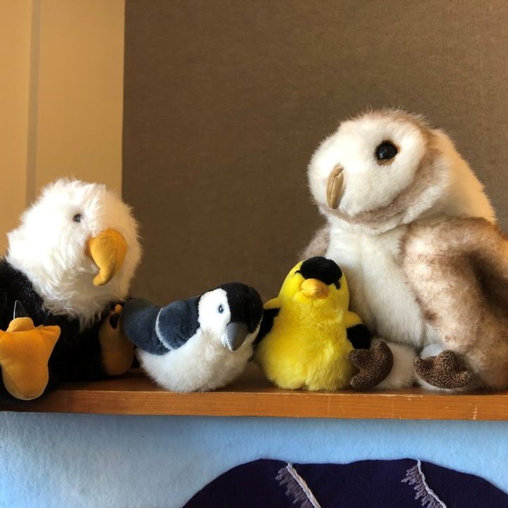 Bear Creek Nature Center Winter Puppet Theater Saturdays - El Paso ...